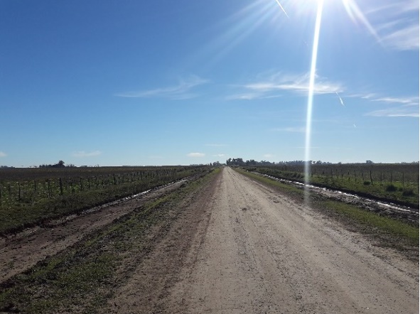 Hacia un manejo eficiente de los Caminos Rurales: conocer el material ...